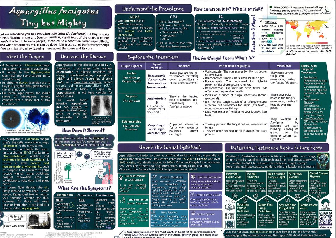 MiSAC competition 2025