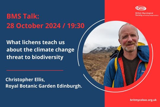 BMS: Resource Library